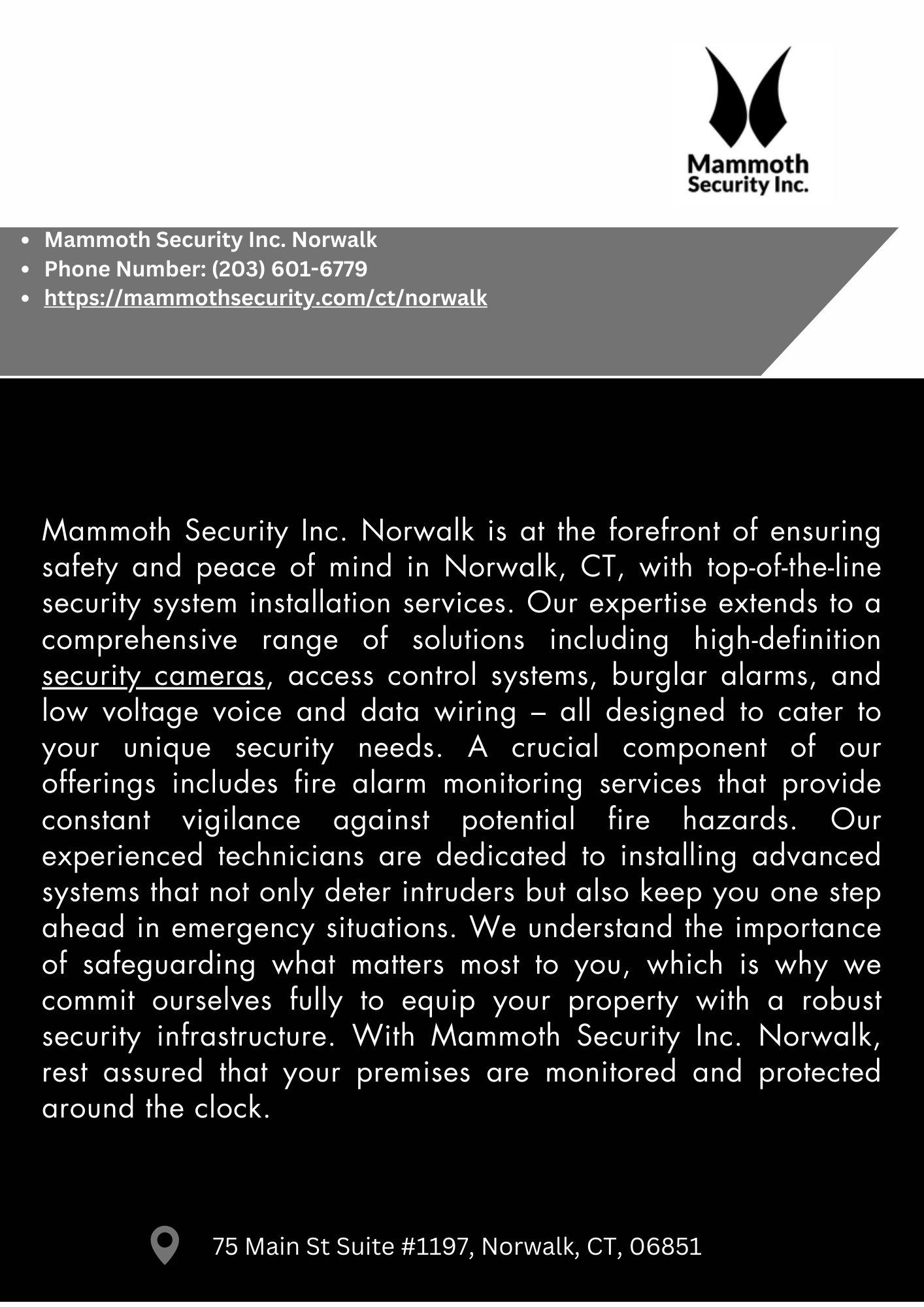 Mammoth Security Inc. Norwalk - Gifyu